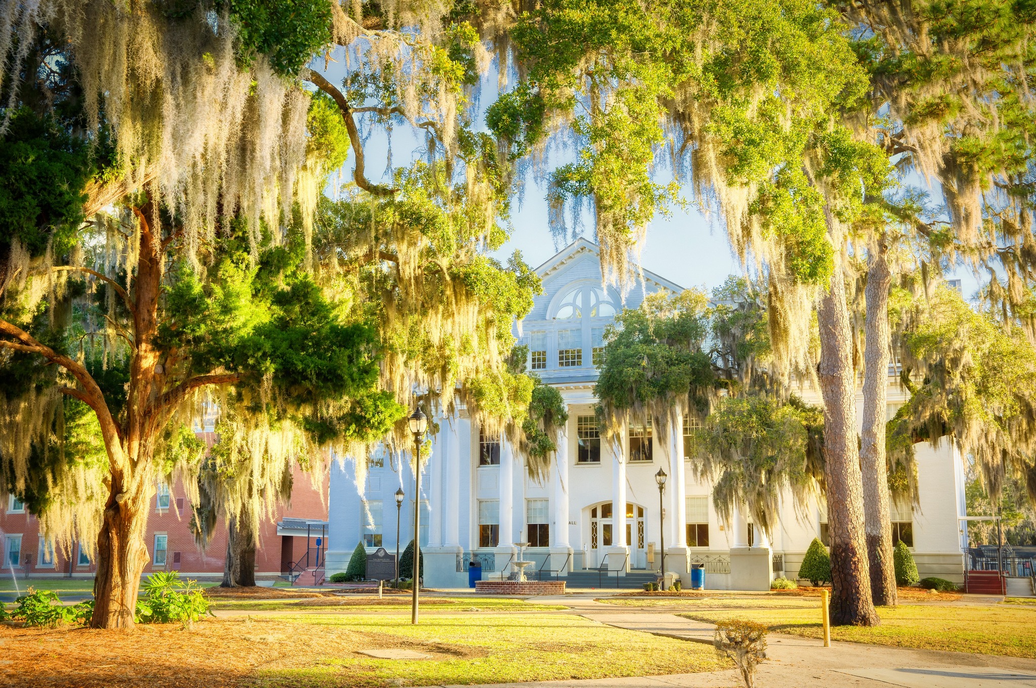 EICOP Entertainment Career Forum – Savannah State University - EICOP